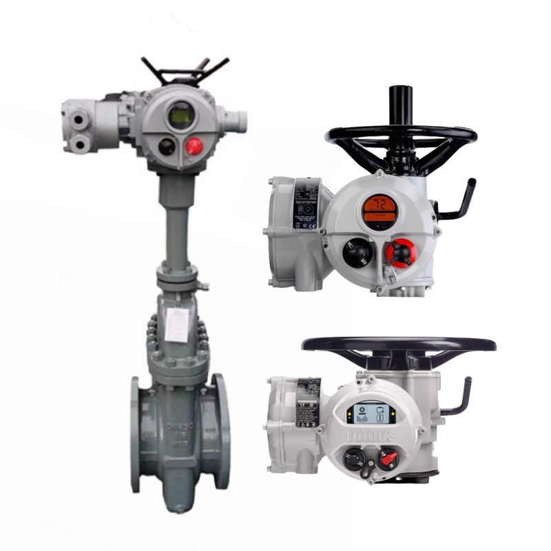 Rotork IQ Electric Actuators: Smart, Reliable, and Cost-Effective Valve ...